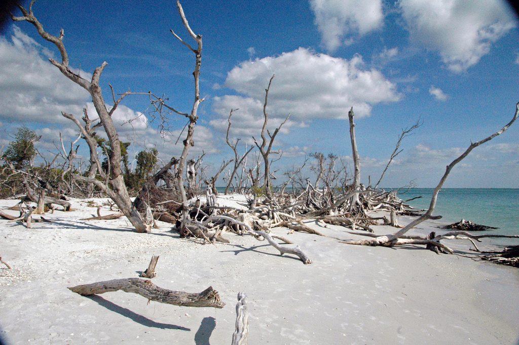 The 10 Most Beautiful Hidden Beaches in Florida